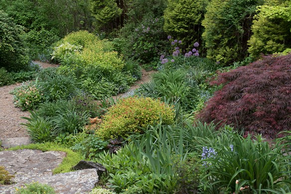 Green things growing | composerinthegarden