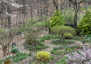 composerinthegarden | The intersection of music and the garden as ...