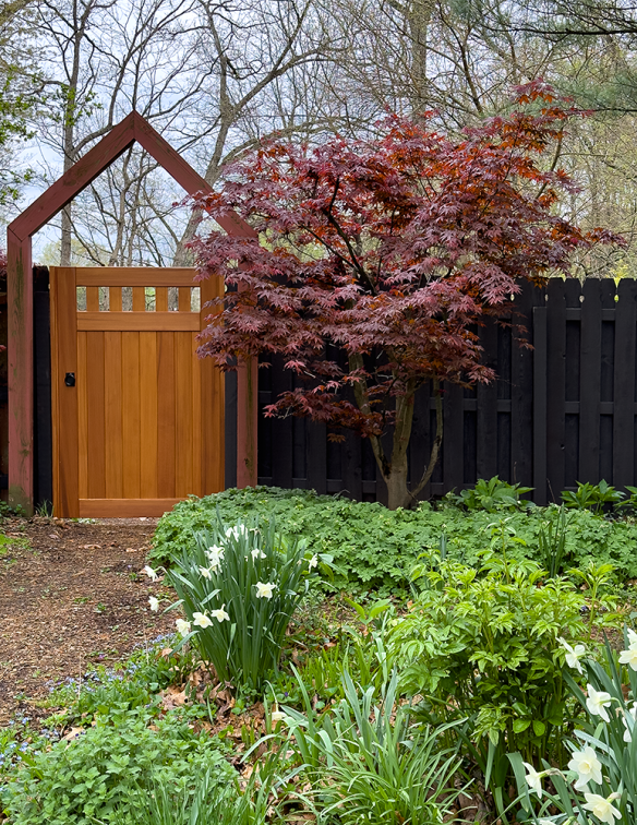 composerinthegarden | Gardening in harmony with nature