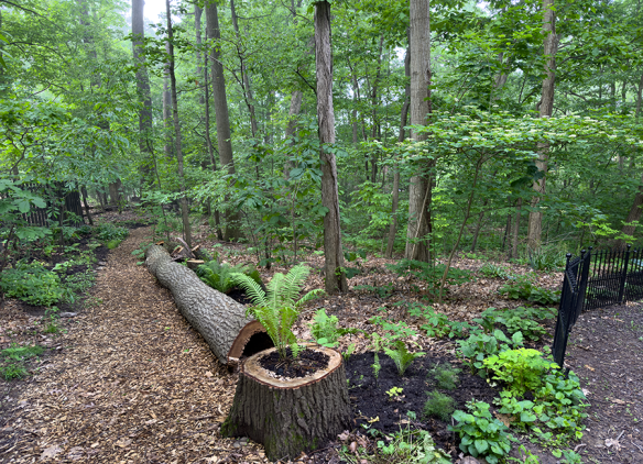 composerinthegarden | Gardening in harmony with nature